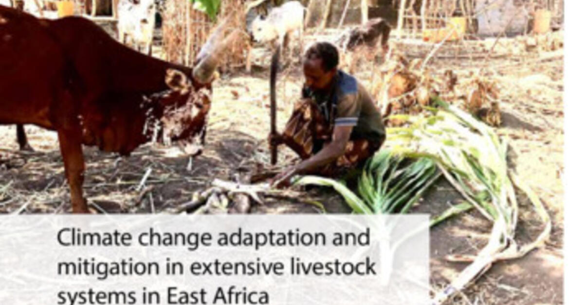 Climate change adaptation and mitigation in extensive livestock systems in East Africa: Findings ...